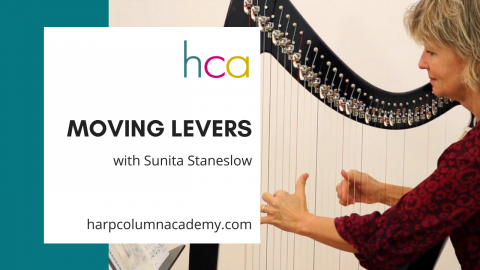 Moving levers - Harp Column Academy