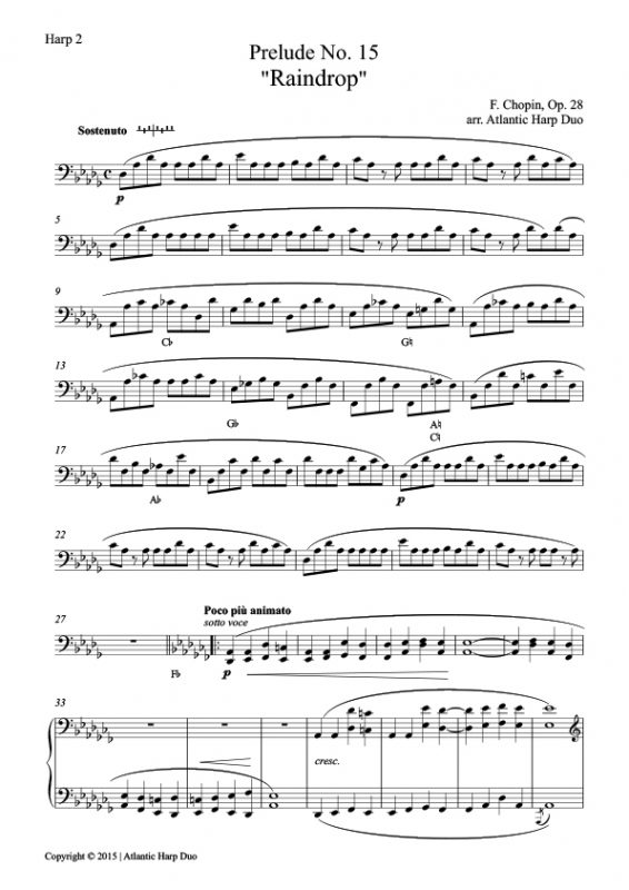 Raindrop Prelude – Harp Column Music