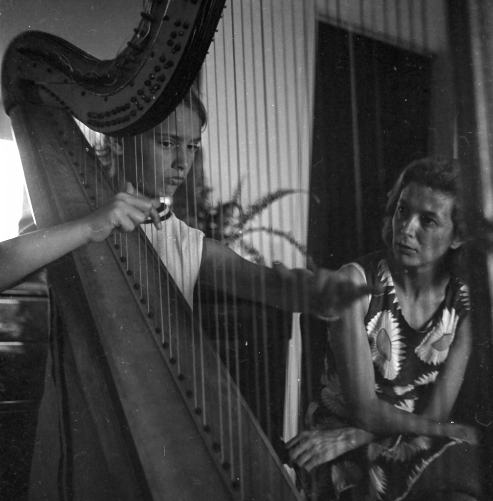 The Ambassador | Harp Column