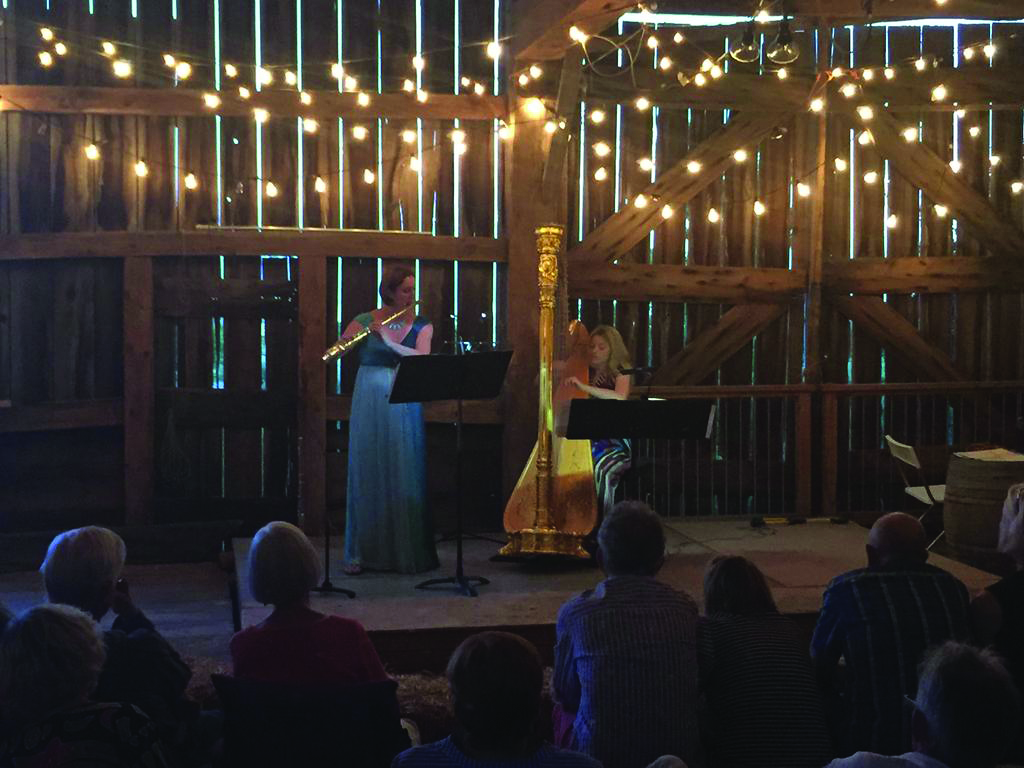 Michelle Gott | Harp Column