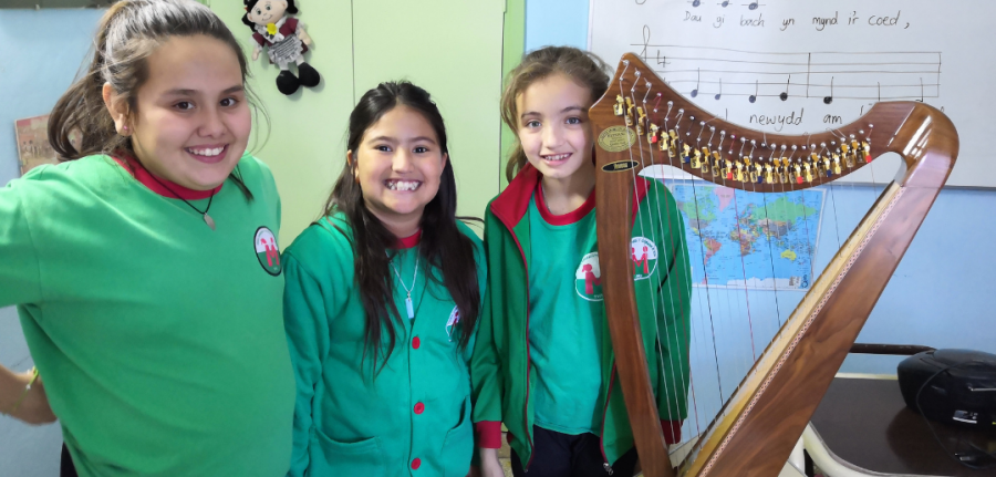 Patagonia Instrument Project raising funds to buy Welsh harp | Harp Column