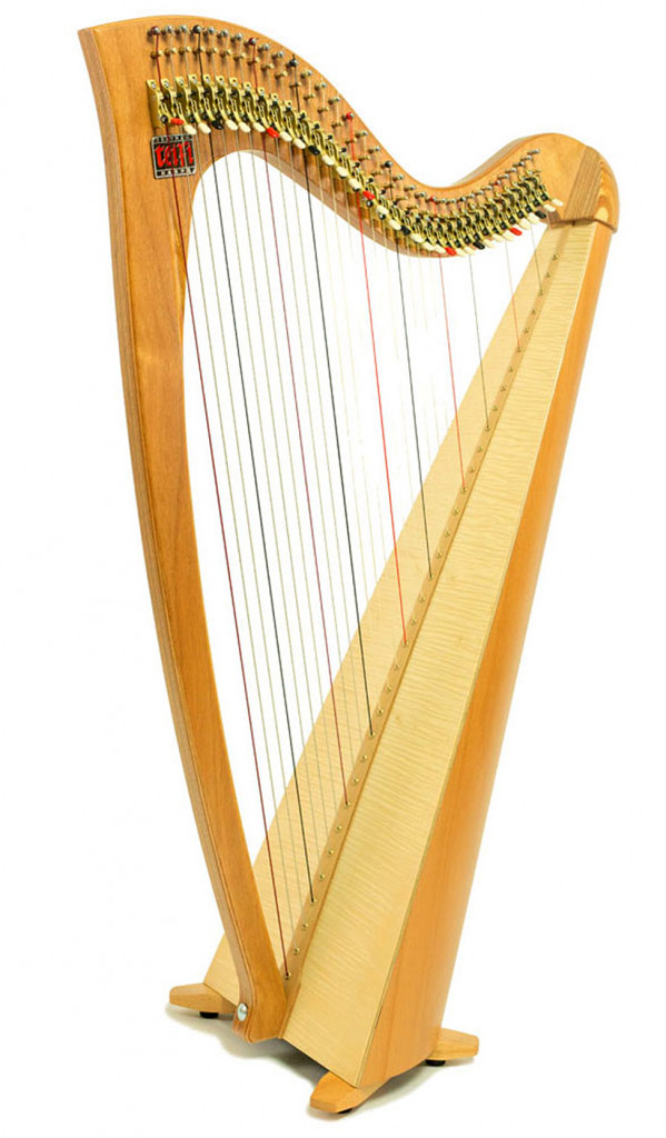 Patagonia Instrument Project raising funds to buy Welsh harp | Harp Column