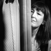 Carol Robbins | Harp Column