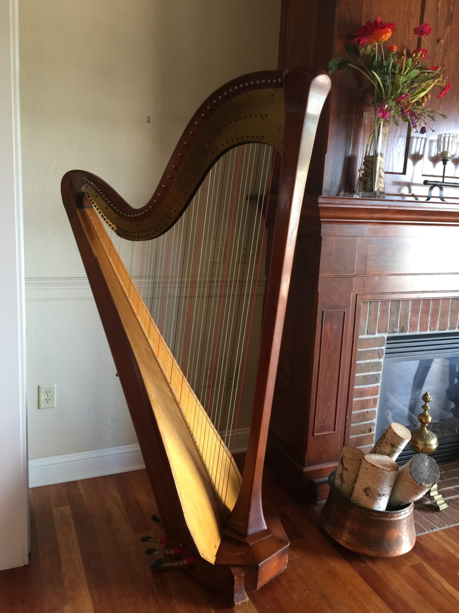 Venus Harps announces major change to its business