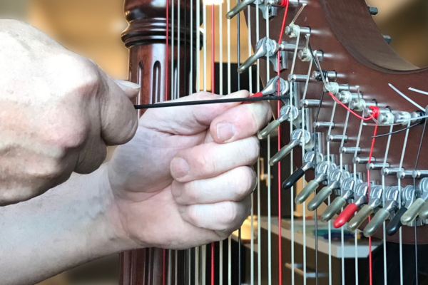 Rules & Regulations | Harp Column