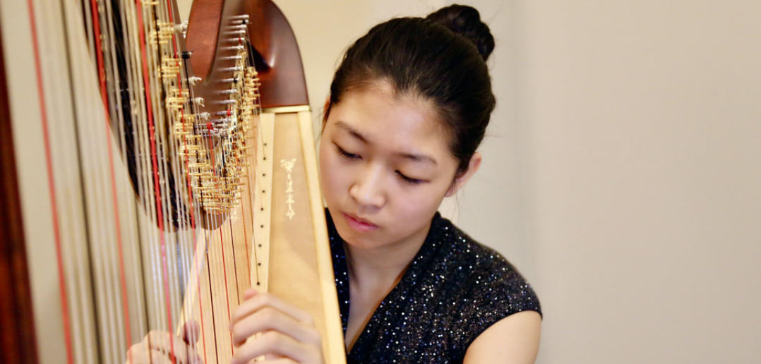 Rave Harps International Prestige Awards announces 2025 winners | Harp ...