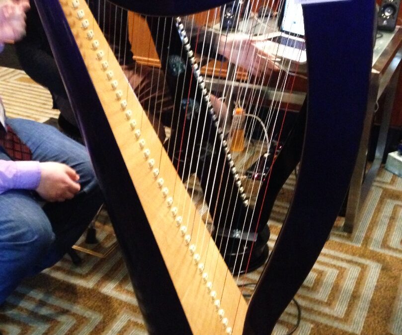 electronic harp | Harp Column