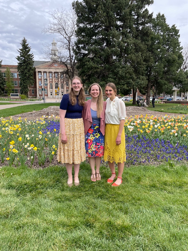 Colorado State University | Harp Column