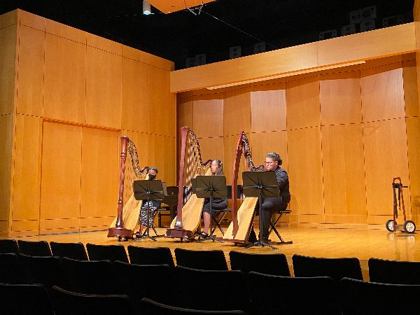 Sam Houston State University | Harp Column