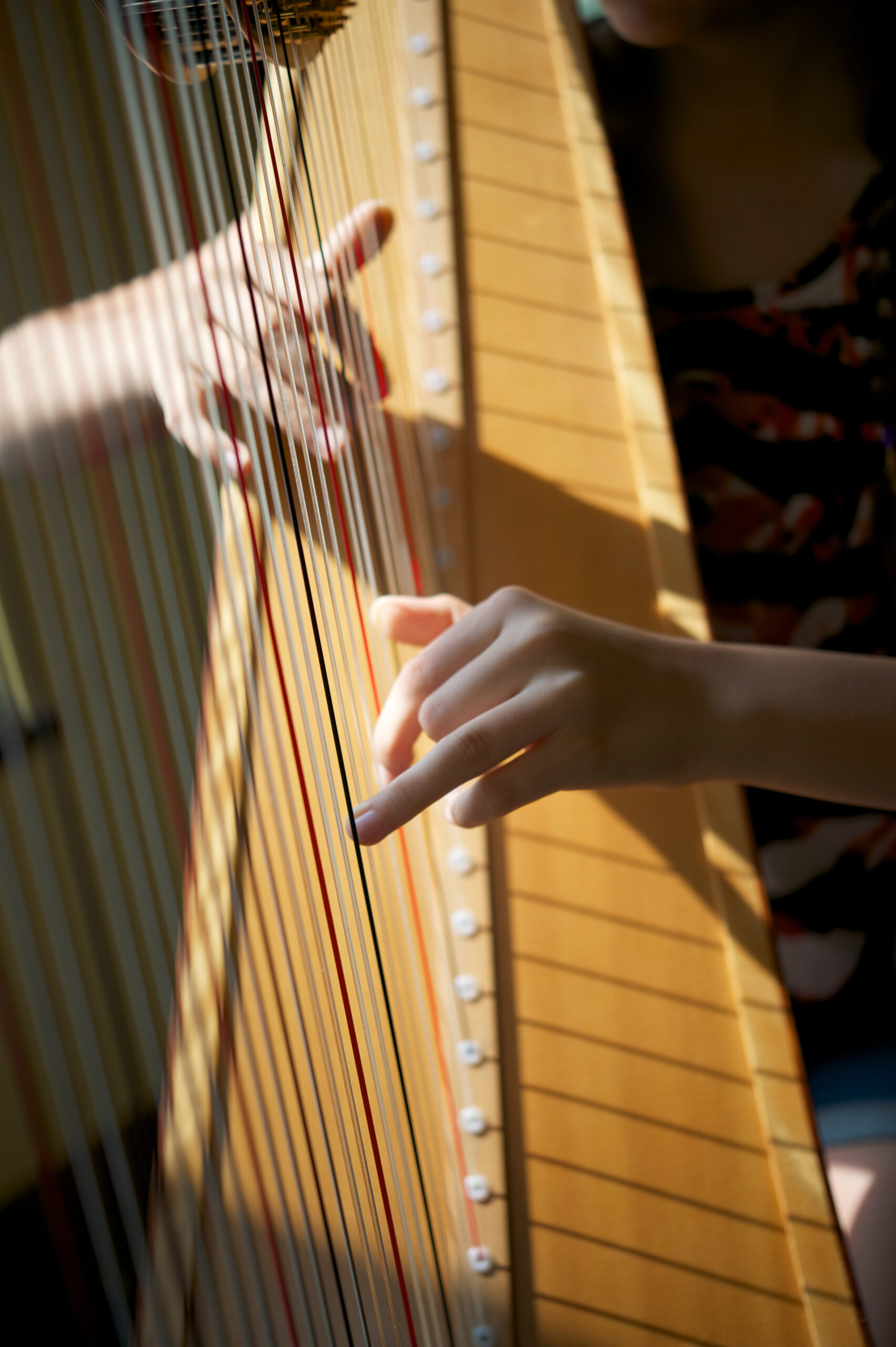 Gustavus Adolphus College | Harp Column