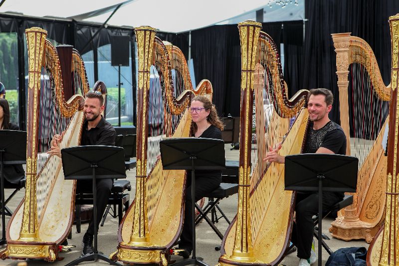 Toronto International Harp Institute | Harp Column
