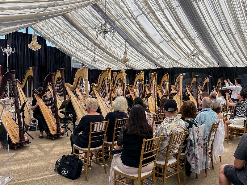 Toronto International Harp Institute | Harp Column