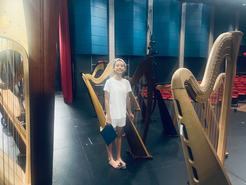 HRHF Summer Institute | Harp Column