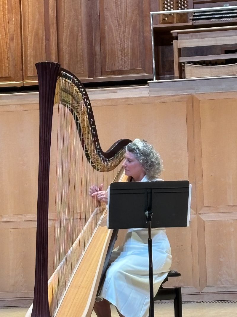 Utah Harp Experience | Harp Column
