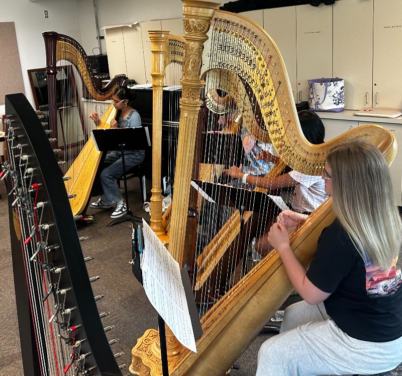 Utah Harp Experience | Harp Column